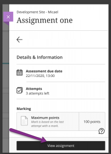 The assignment dashboard window will open. Click Add Content