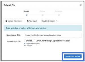 In the next window, you can preview your submission and verify it is ...