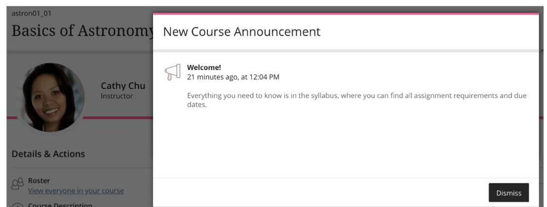 Fig. 12. New course announcement notification