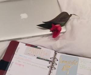 September 13, 2015 Academic Student Experience No Comments